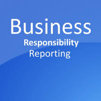 Format for Business Responsibility Report (BRR) : SEBI